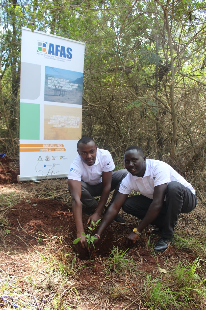 AFAS Team Tree Planting at Wangari Maathai Institute for Peace and ...