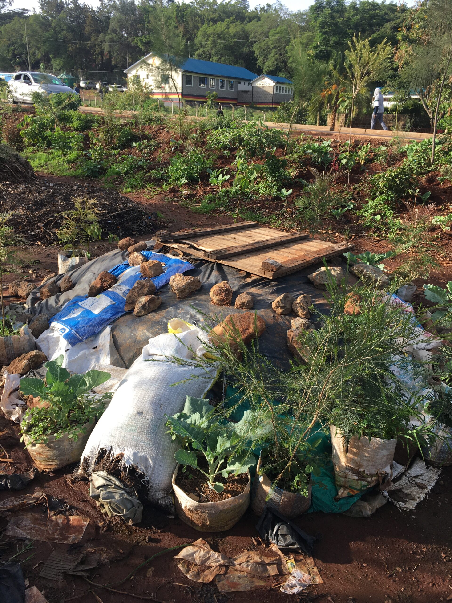 Exploring urban agriculture as a Nature-based Solution: A case study of ...