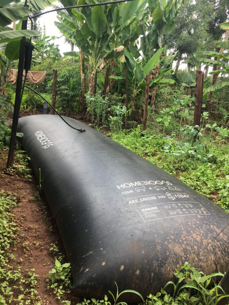 Sustainable Biomass-based Cooking Solutions as a Nature-based Solution ...