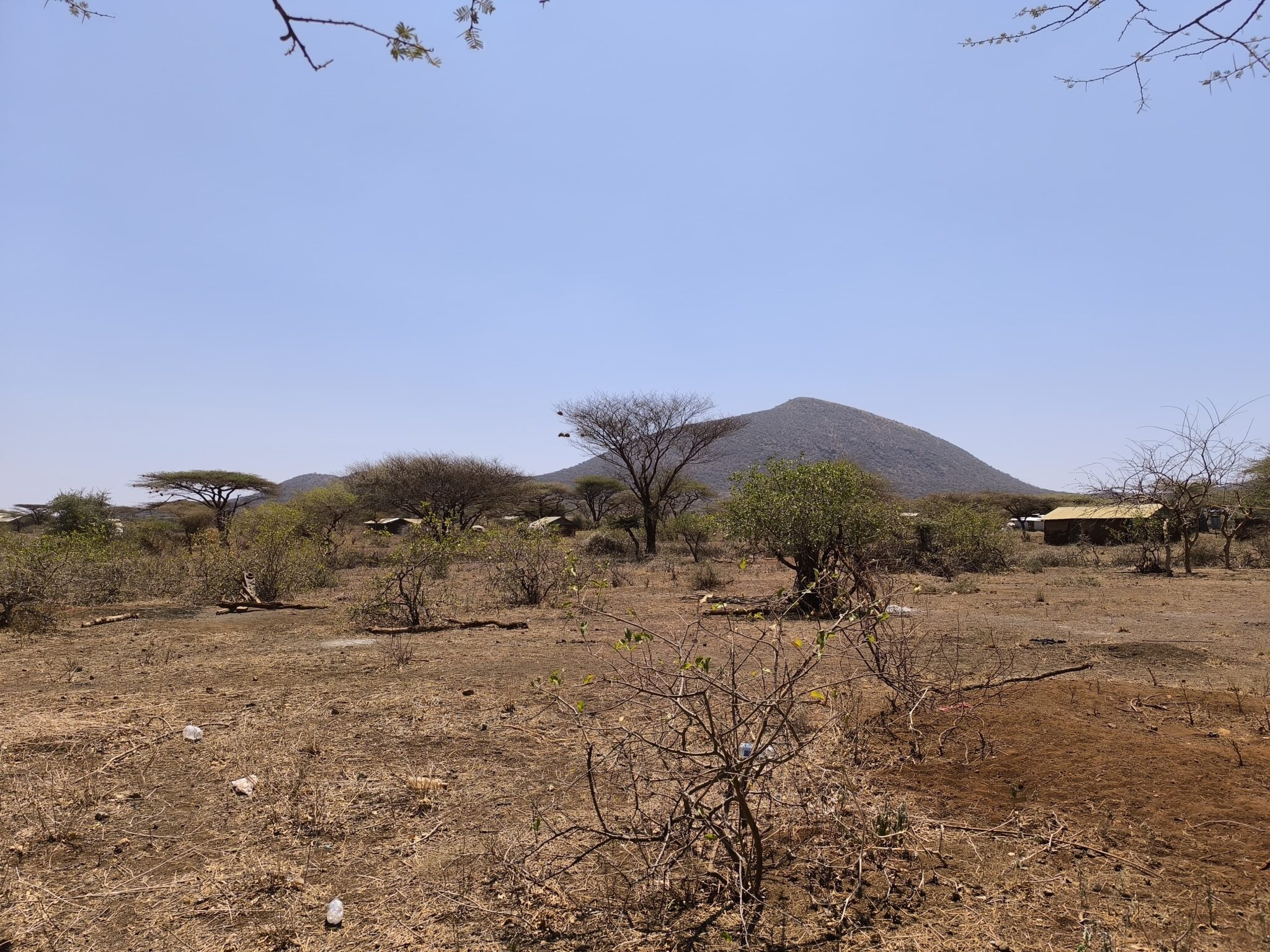 Pastoralism in the Drylands: Realities and Perspectives - AFAS